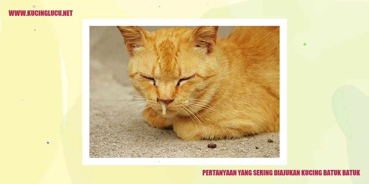 Kucing Batuk-Batuk: Penyebab, Gejala, dan Pengobatan | Kucing Lucu Net